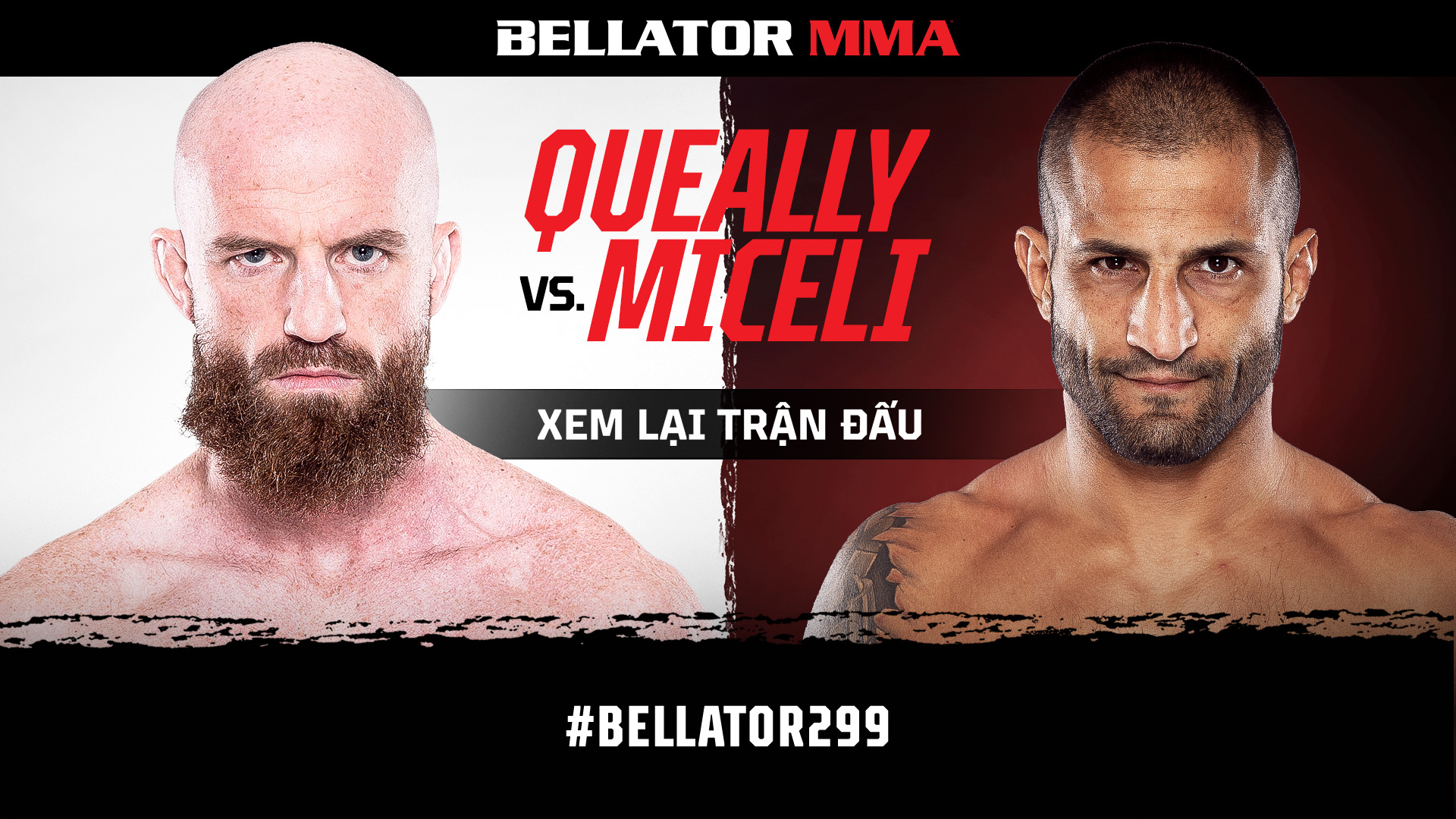 Peter Queally - Daniele Miceli