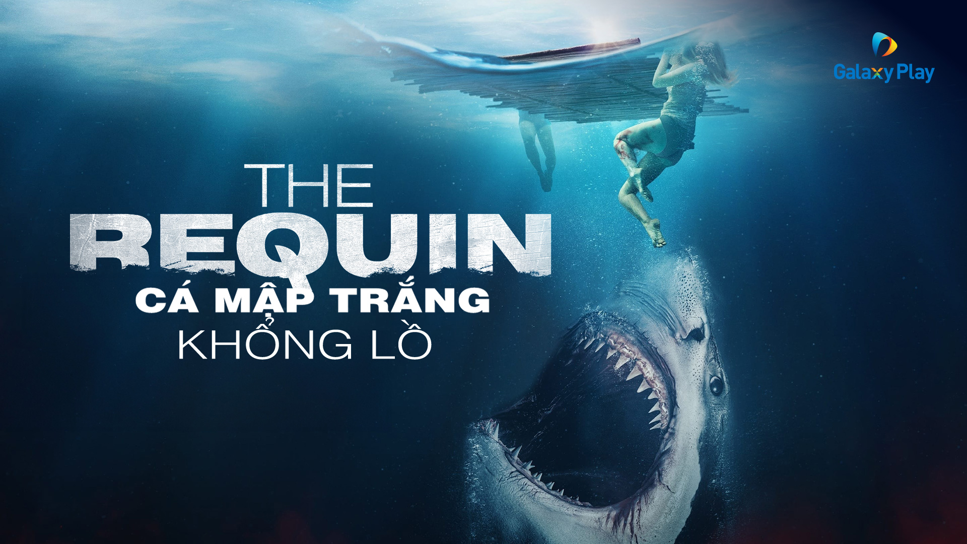 Cá Mập Trắng Khổng Lồ - The Requin