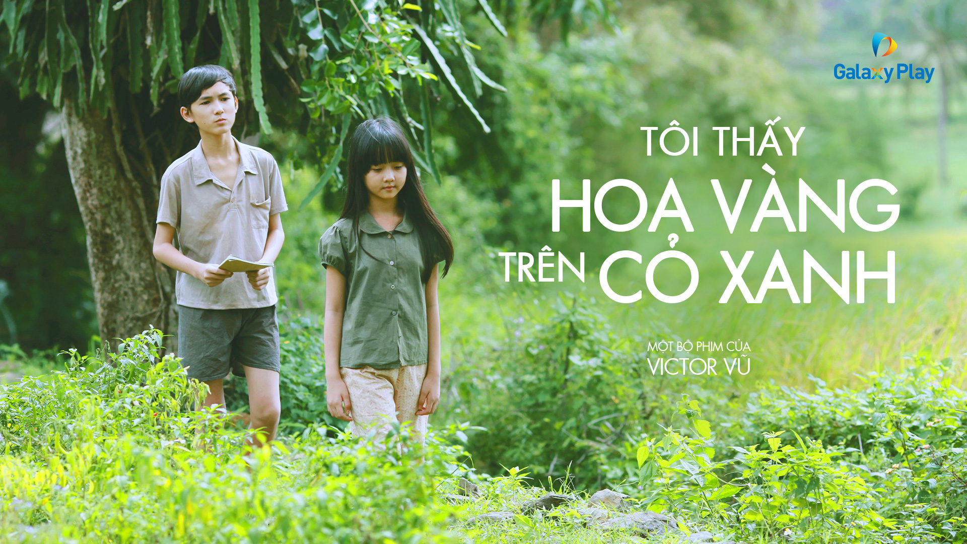Tôi Thấy Hoa Vàng Trên Cỏ Xanh